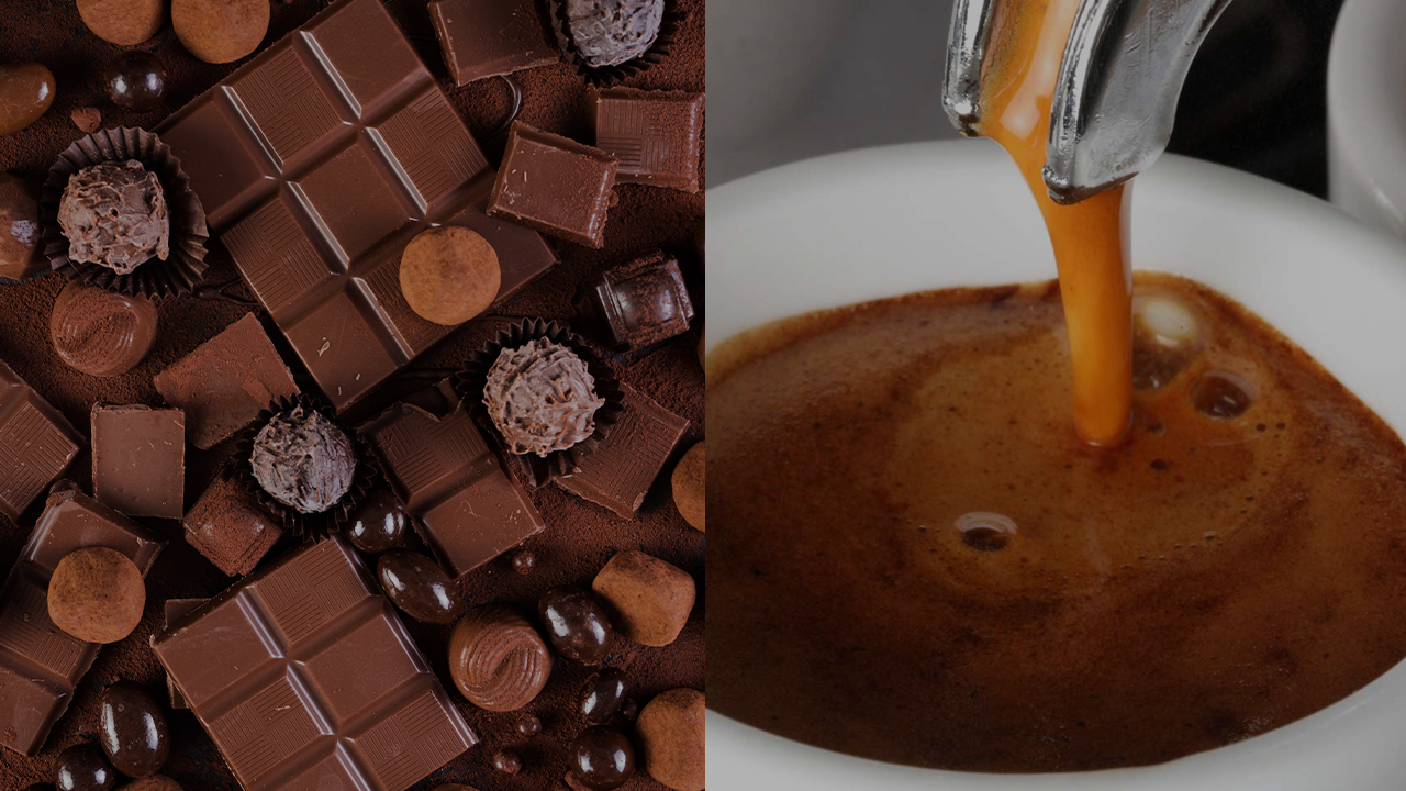 Gastronomía – Sofía Jottar